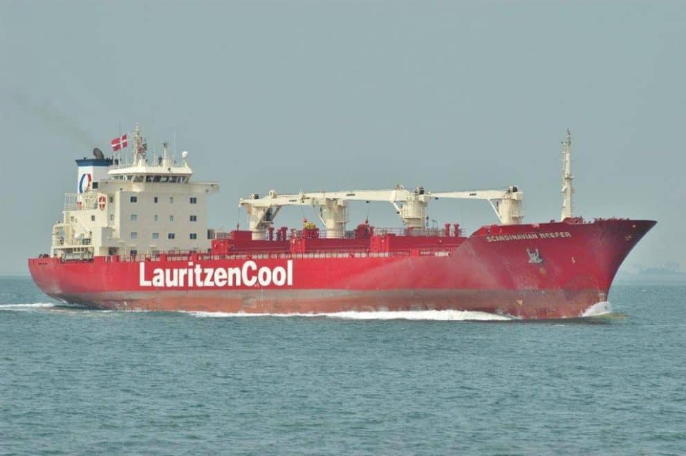 Scandinavian Reefer | Lmg Marin